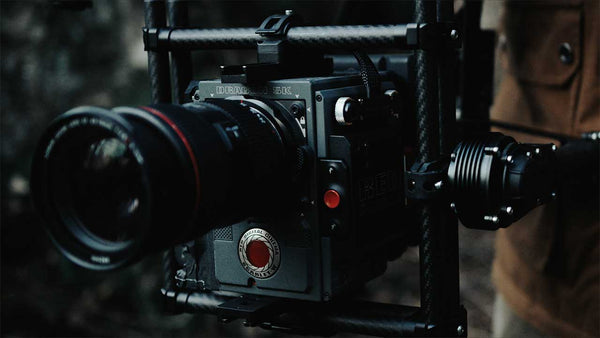 Camera Settings for LUTs - Bounce Color®