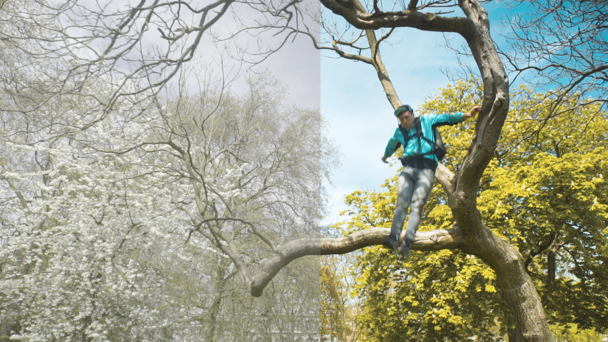 SKY BLUE LUT Pack / Sony, DJI Drones, GH5 and More - Bounce Color®